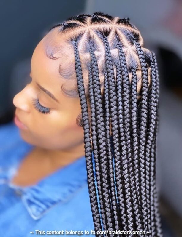 +85 PHOTOS: Knotless Braids Hairstyles for 2025 – Fashion Lifestyle Trends