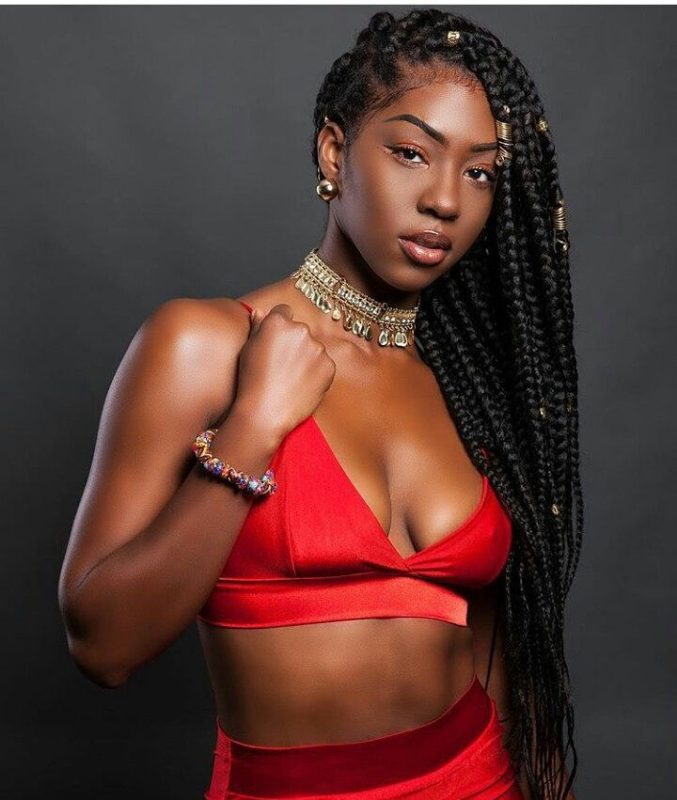 84 Different Types of Braids Everything You Need to Know (26) – Fashion Lifestyle Trends